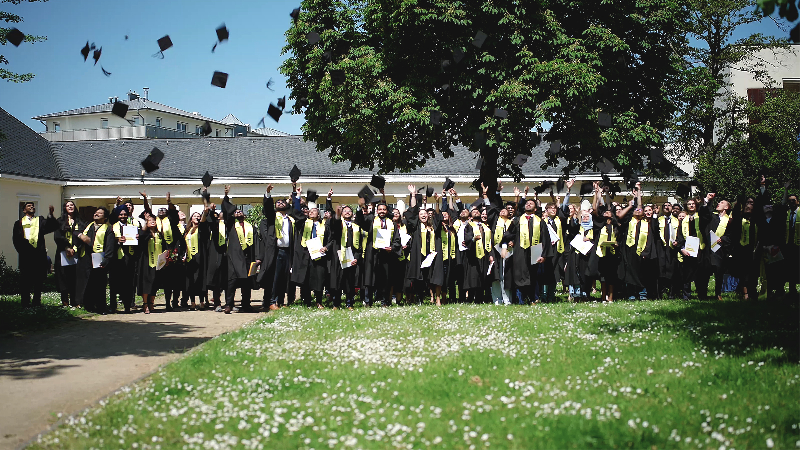 Courses from IU International University Of Applied Sciences, Berlin ...